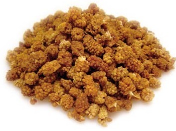 Moerbeibessen - Kaasie Kaasie IJsselstein